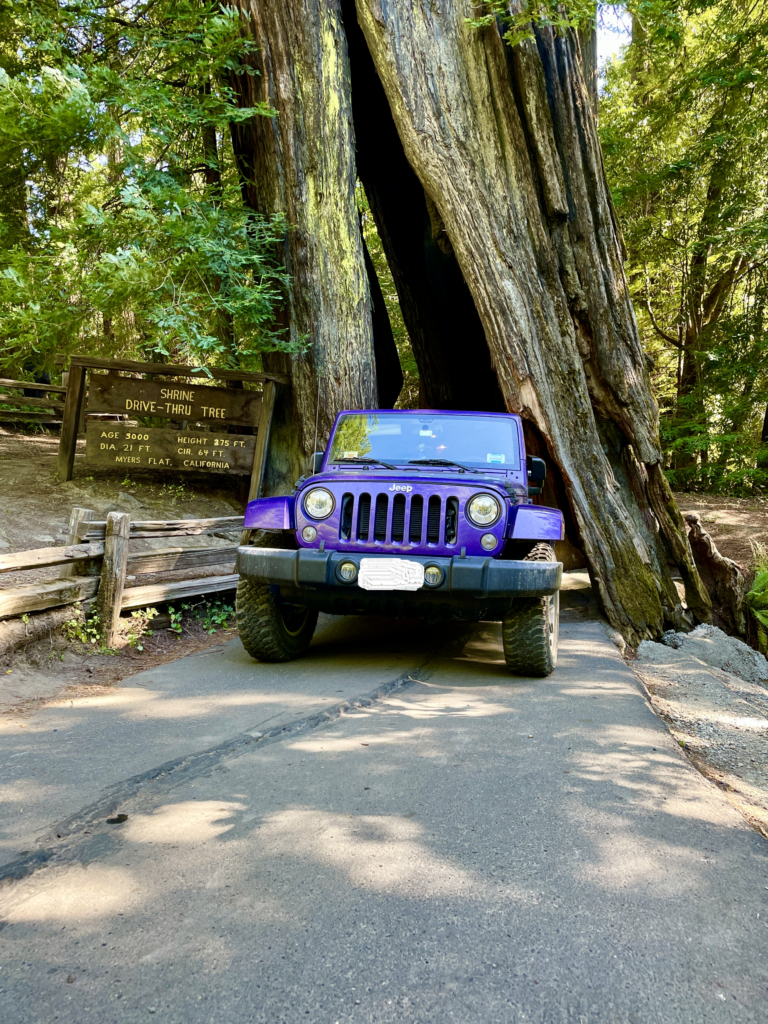 Ferndale California, the Lost Coast, and the value of a cheesy tourist ...